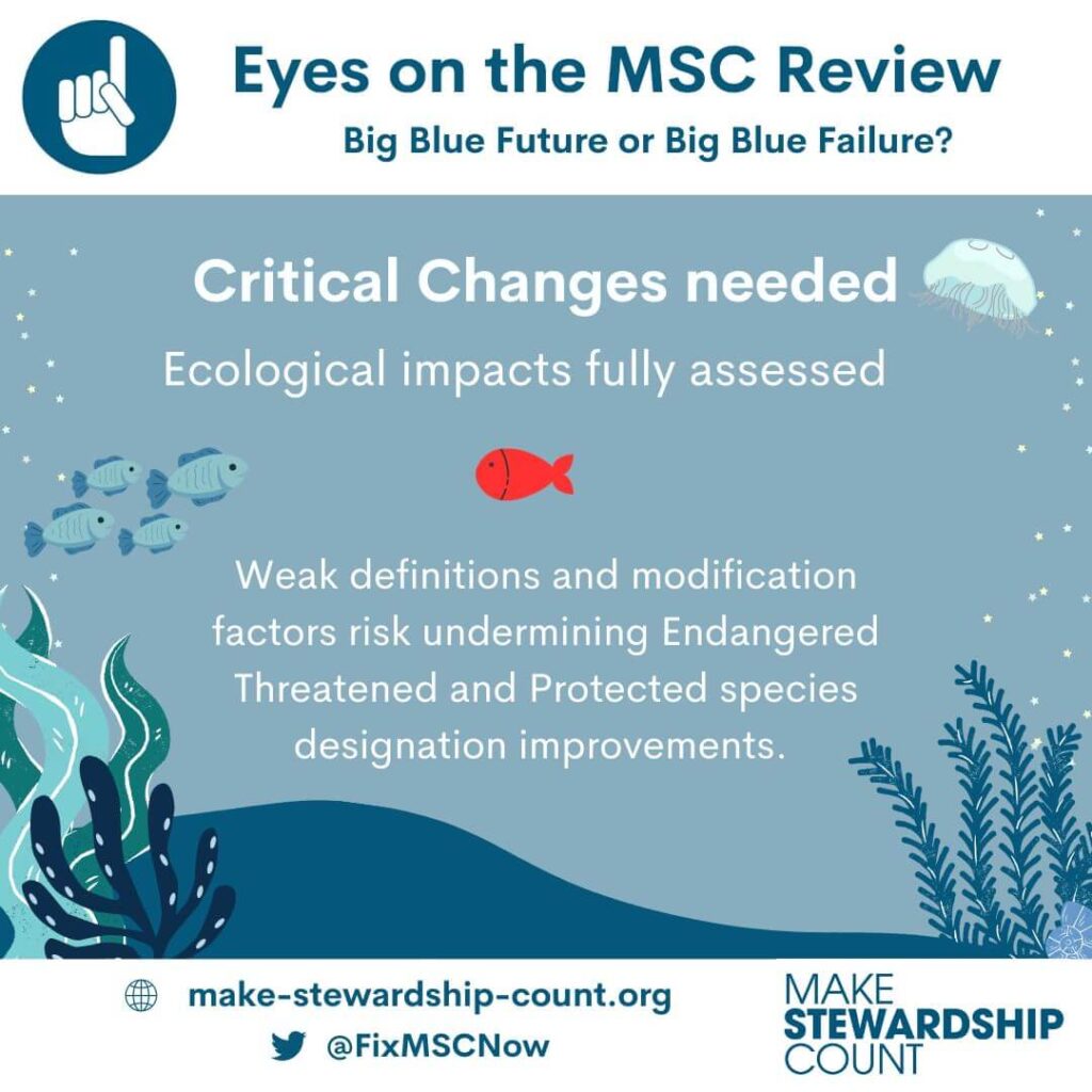 Big blue future or big blue failure? – SHARKPROJECT