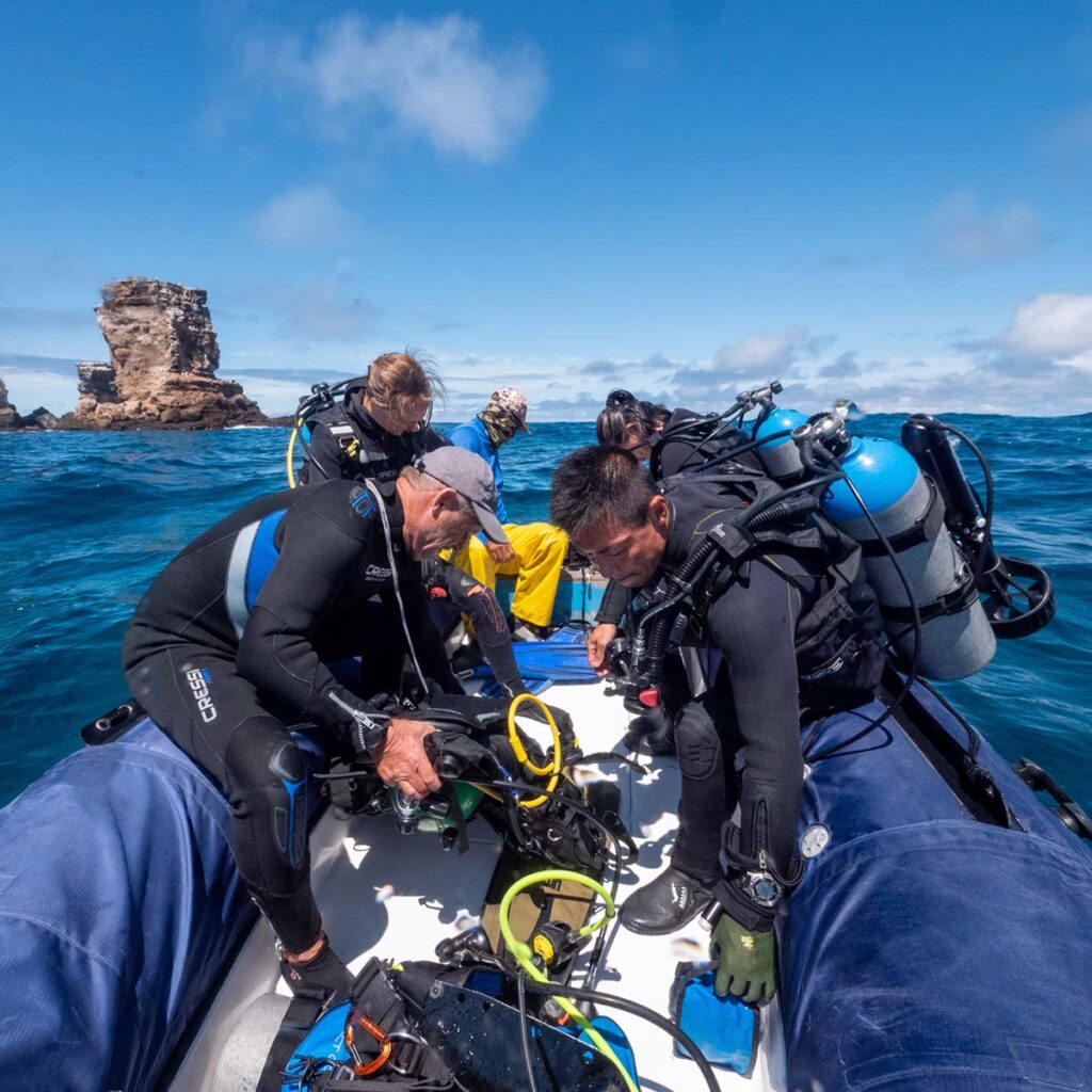 Galapagos Whaleshark Project – SHARKPROJECT